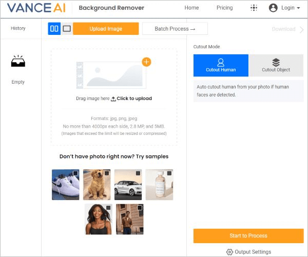Demystify Image Background Removal Using AI Background Remover
